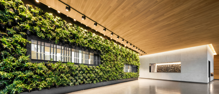 Our Impact - Consigli Construction