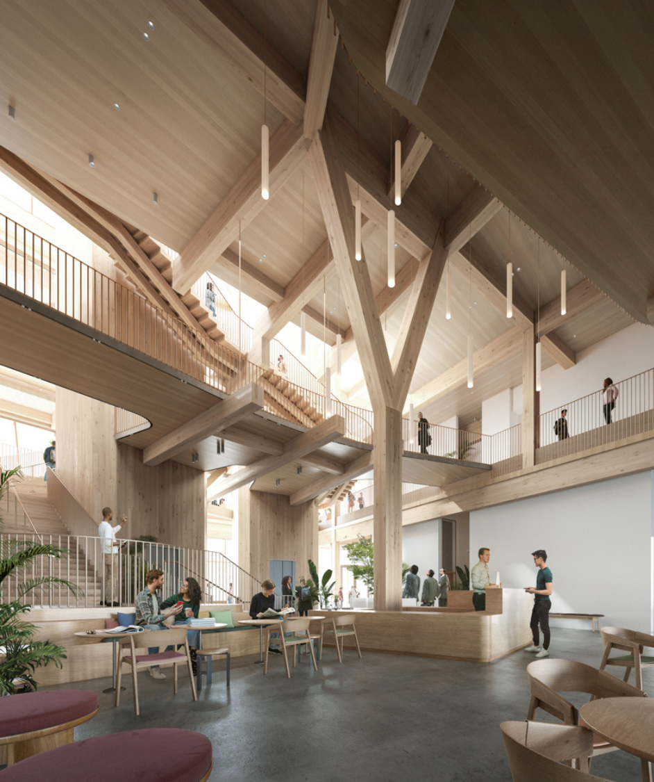 David Rubenstein Treehouse at Harvard University - Consigli Construction